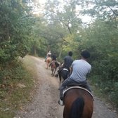 Memory Lane Stables - 101 Photos & 39 Reviews - Horseback Riding - 8290 ...