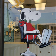 Snoopy’s Grooming - 11 Photos - Pet Groomers - 3425 Bayside Lakes Blvd ...