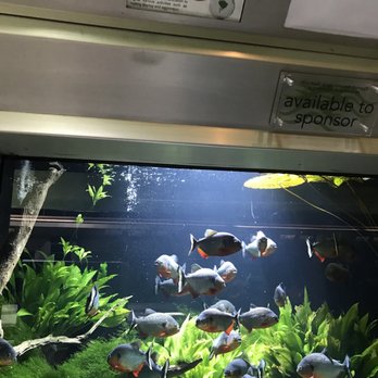 Belle Isle Aquarium - 2019 All You Need to Know BEFORE You Go (with ...