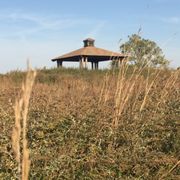 Pennington Park - 26 Photos & 15 Reviews - Parks - 801 Creek Rd ...