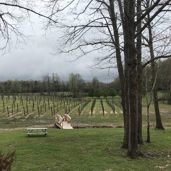 Bear Claw Vineyards - 30 Photos & 17 Reviews - Wineries - 2281 Tennis ...