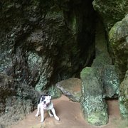 Wyalusing State Park - 42 Photos & 16 Reviews - Hiking - Bagley, WI ...