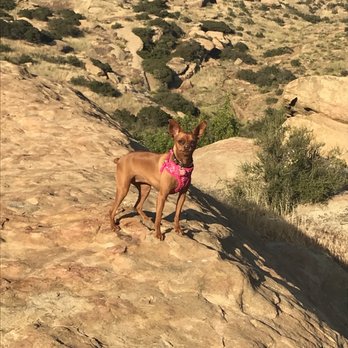 Hummingbird Trail - 87 Photos & 17 Reviews - Hiking - 2409-2435 Kuehner ...