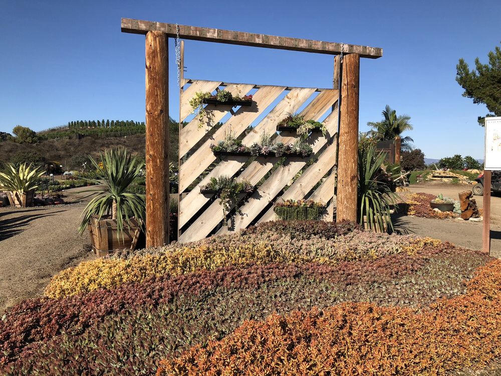 Waterwise Botanicals - 139 Photos & 40 Reviews - Nurseries & Gardening ...