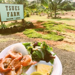 Tsue’s Farm - 42 Photos & 19 Reviews - Paddleboarding - 62-400 Joseph P ...