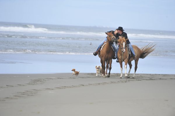 Tokeland, WA Map & Directions - MapQuest