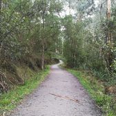 1000 Steps - 64 Photos & 17 Reviews - Hiking - Mt Dandenong Tourist Rd ...