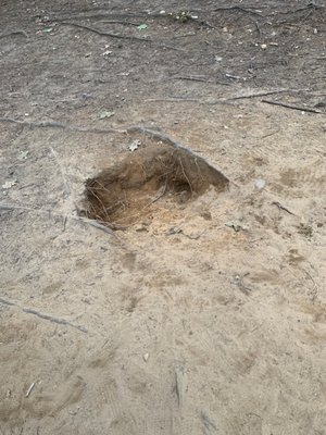 Terryville, CT Map & Directions - MapQuest