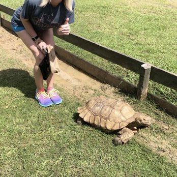 Gator Country - 145 Photos & 48 Reviews - Zoos - 21159 Fm 365 Rd ...