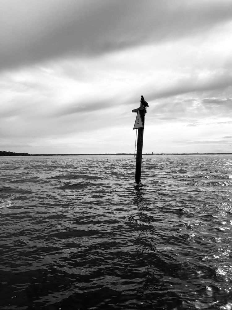 Shell Island White Sand Beach - 42 Photos & 22 Reviews - Beaches - 4607 ...