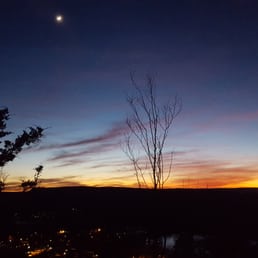 Giuffrida Park - 42 Photos & 22 Reviews - Hiking - 800 Westfield Rd ...