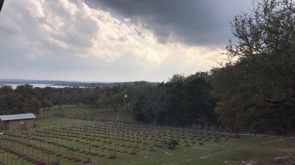 Spring Branch, TX Map & Directions - MapQuest