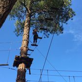Flagstaff Extreme Adventure Course - 141 Photos & 169 Reviews ...