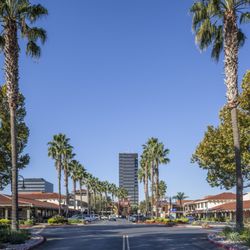 The Pruneyard Shopping Center - 35 Photos & 46 Reviews - Shopping ...