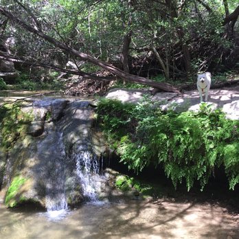 River Place Nature Trail - 246 Photos & 126 Reviews - Hiking - 8830 Big ...