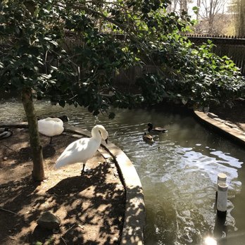 Connecticut’s Beardsley Zoo - 134 Photos & 80 Reviews - Zoos - 1875 ...