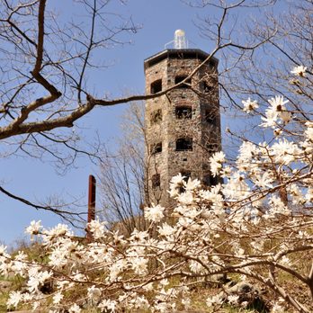 Enger Tower Park and Gardens - 82 Photos & 29 Reviews - Botanical ...