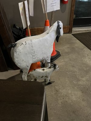 Coats, NC Map & Directions - MapQuest