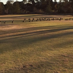 Woodley Lakes Golf Course - Book A Tee Time - 25 Photos & 47 Reviews ...