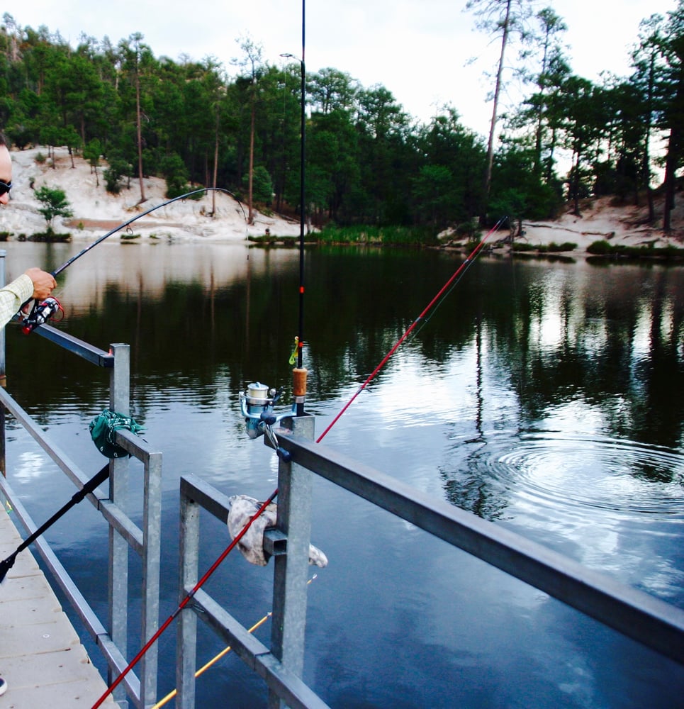 Rose Canyon Lake - 21 Photos & 10 Reviews - Fishing - Catalina Hwy ...