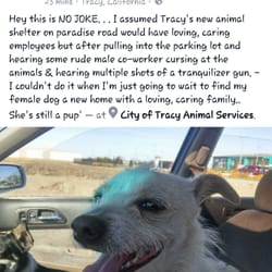 Tracy Animal Shelter - Animal Shelters - 2375 Paradise Ave, Tracy, CA ...