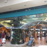 Scheels - 600 Photos & 377 Reviews - Outdoor Gear - 1200 Scheels Dr ...