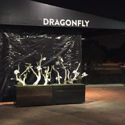 Dragonfly Robata Grill & Sushi - 540 Photos - Sushi Bars - Horizons ...