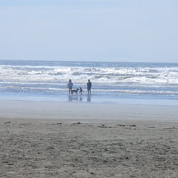 Ocean Mist Resort - Resorts - 2781 State Rt 109, Ocean City, WA - Phone ...