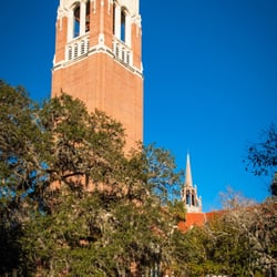 University of Florida - 96 Photos & 34 Reviews - Colleges ...