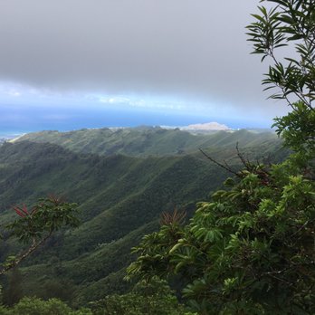 Kuliouou Ridge Trail - 1202 Photos & 336 Reviews - Hiking - Kalaau Pl ...