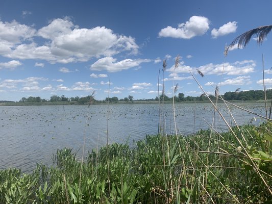 Earleville, MD Map & Directions - MapQuest