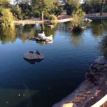 CSUN Pond - 304 Photos & 65 Reviews - Parks - 18111 Nordhoff St ...