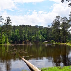 Homochitto National Forest - Clear Springs Recreation Area - 21 Photos ...