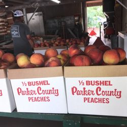 Hutton Peach Farm - 20 Photos - Specialty Food - 210 Greenwood Cut Off ...