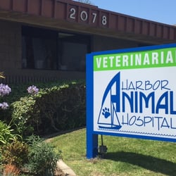 Harbor Animal Hospital - 97 Photos & 110 Reviews - Veterinarians - 2078 ...