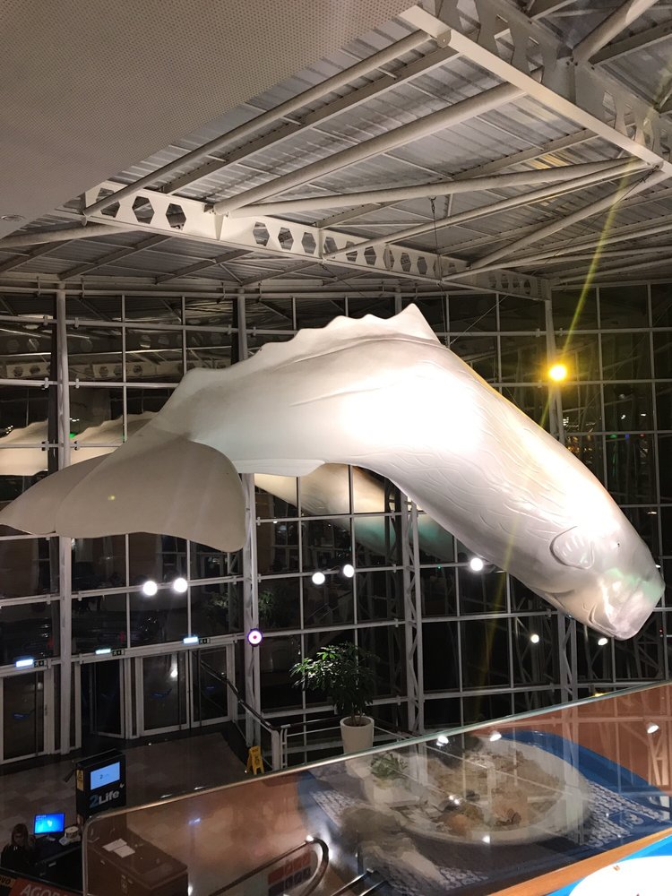 Parque Atlântico - Shopping Centers - R. da Juventude, 38, Ponta ...