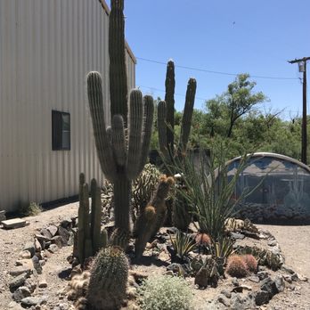 China Ranch Date Farm - 308 Photos & 77 Reviews - Ranches - 8 China ...