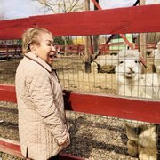 Silverman’s Farm - 68 Photos & 63 Reviews - Farmers Market - 451 Sport ...