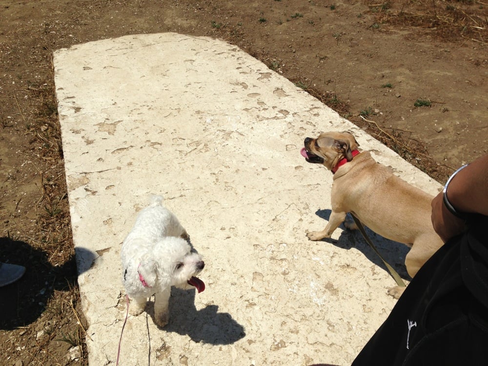 Sign Hill Park - 154 Photos & 48 Reviews - Hiking - 650 Poplar Ave ...