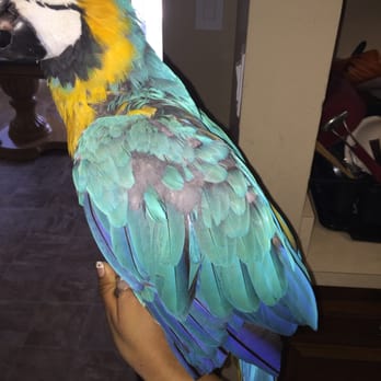 Magnolia Bird Farm - 56 Photos & 95 Reviews - Pet Stores - 8990 ...