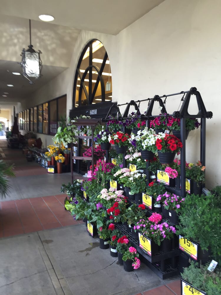 Ralphs Grocery Company - 11 Photos & 34 Reviews - Grocery - 31481 Santa ...