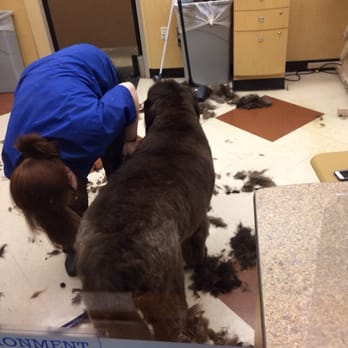 PetSmart - 11 Photos & 31 Reviews - Pet Stores - 63 Rice Lake Square ...