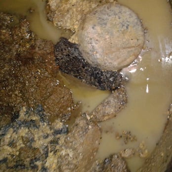 American Sani-Can - Party Equipment Rentals - Parkrose, Portland, OR ...