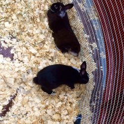 Rural King - 46 Photos - Farming Equipment - 2999 10th St, Ocala, FL ...