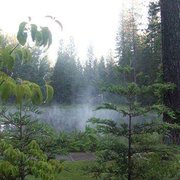 Clotilde Merlo Park - Parks - Stirling City, CA - Phone Number - Yelp