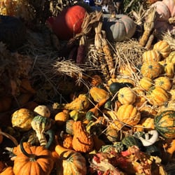 Silverman’s Farm - 68 Photos & 63 Reviews - Farmers Market - 451 Sport ...