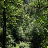 Victor Falls - 32 Photos - Parks - 18212 Rhodes Lake Rd E, Bonney Lake ...