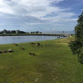 Shell Point Beach - 19 Photos - Beaches - 117 Beaty Taff Dr ...