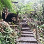 1000 Steps - 64 Photos & 17 Reviews - Hiking - Mt Dandenong Tourist Rd ...