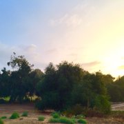 Green Oak Ranch - 17 Photos - Venues & Event Spaces - 1237 Green Oak Rd ...